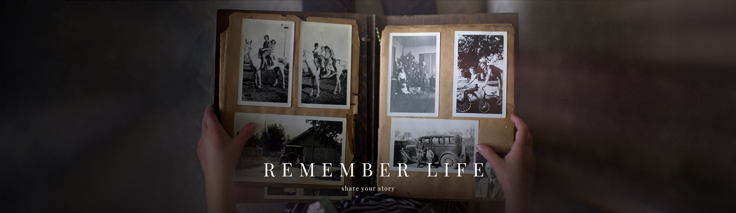 mDiary — DesignStudio — MotionVFX