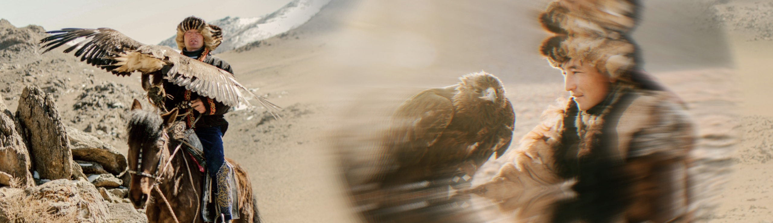 mTransition Whip Cut — DesignStudio — MotionVFX